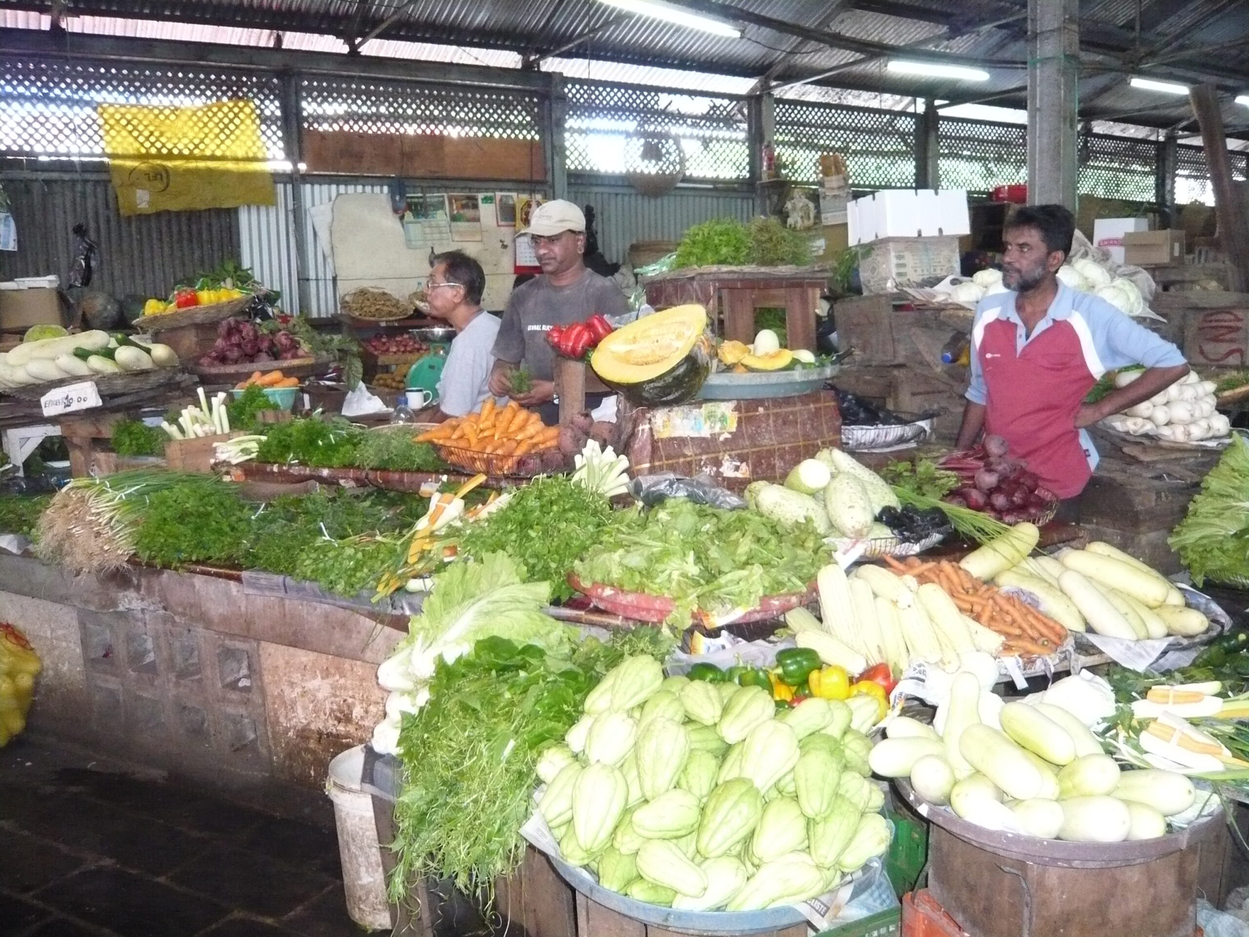 Chatini peau pipengaille (luffa) – Taste of Mauritius
