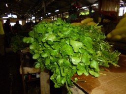 Bouillon brêdes – Taste of Mauritius